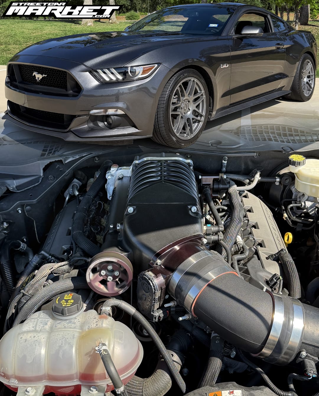 700whp Whipple Supercharged 2017 Ford Mustang GT For Sale